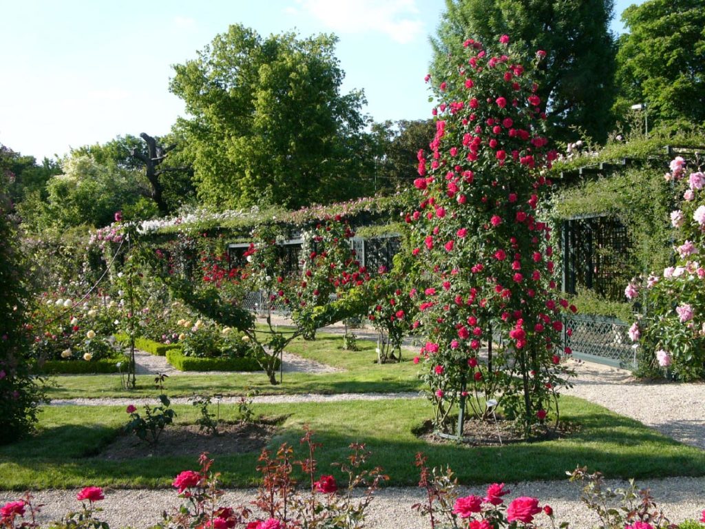 Pierre Dauvergne et le Conseil Général du Val-de-Marne – Topia